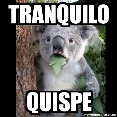 Meme Koala - Tranquilo Quispe - 30334132