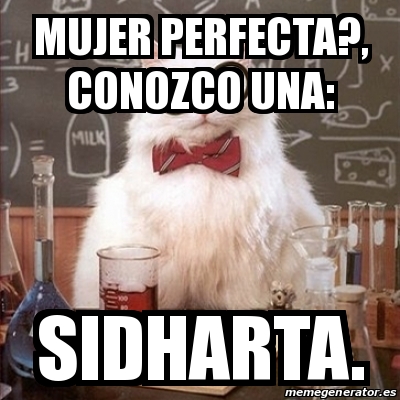 Meme Chemistry Cat - Mujer perfecta?, conozco una: Sidharta. - 30343946