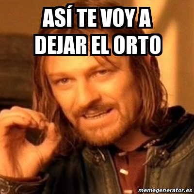 Meme Boromir - AsÃ­ te voy a dejar el orto - 30360707