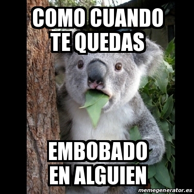 Meme Koala - como cuando te quedas embobado en alguien - 30364854