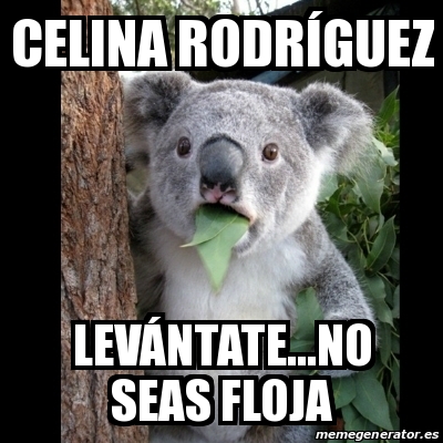 Meme Koala - Celina RodrÃ­guez LevÃ¡ntate...no seas floja - 30375242