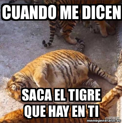 Meme Personalizado - cuando me dicen saca el tigre que hay en ti - 30387459