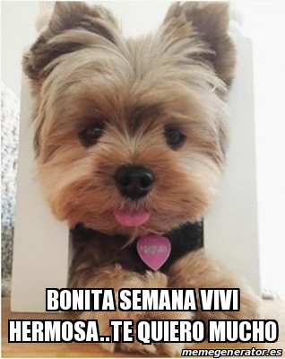 Meme Personalizado - Bonita semana Vivi hermosa..te quiero mucho - 30388713