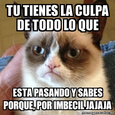 Meme Grumpy Cat - tu tienes la culpa de todo lo que esta pasando y ...