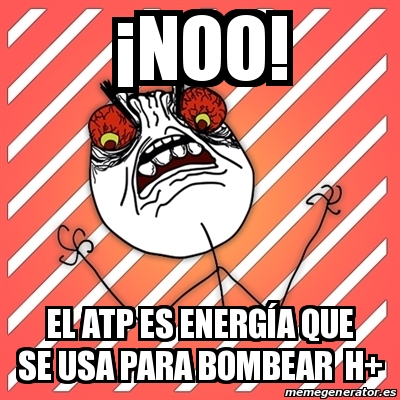 Meme I Hate - Â¡NOO! EL ATP ES ENERGÃ A QUE SE USA PARA BOMBEAR h+ ...