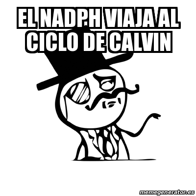 Meme Feel Like A Sir - El nadph viaja al ciclo de calvin - 30042272