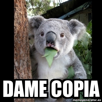 Meme Koala - Dame copia - 30044920