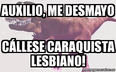 Meme Personalizado - Auxilio, me desmayo CÃ¡llese caraquista lesbiano ...