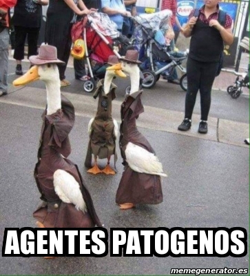 Meme Personalizado - Agentes Patogenos - 30046454