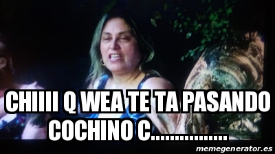 Meme Personalizado - CHIIII Q WEA TE TA PASANDO COCHINO C ...