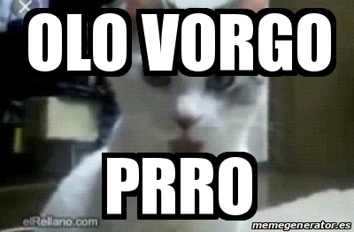 Meme Personalizado - olo vorgo prro - 30409885