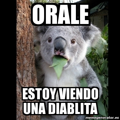 Meme Koala - orale estoy viendo una Diablita - 30410843