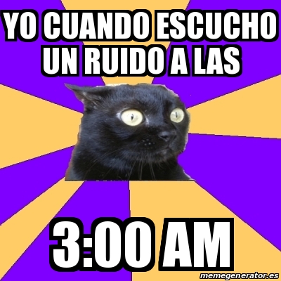 Meme Anxiety Cat - YO CUANDO ESCUCHO UN RUIDO A LAS 3:00 AM - 30415557