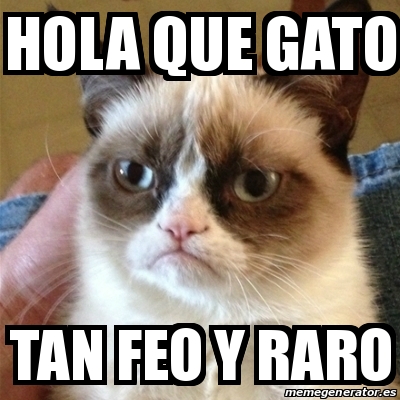 Meme Grumpy Cat - hola que gato tan feo y raro - 30423298