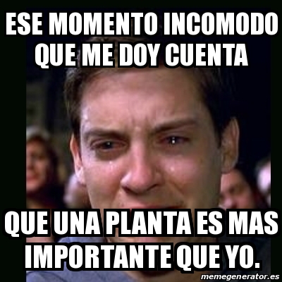 Meme crying peter parker - ESE MOMENTO INCOMODO QUE ME DOY CUENTA QUE ...