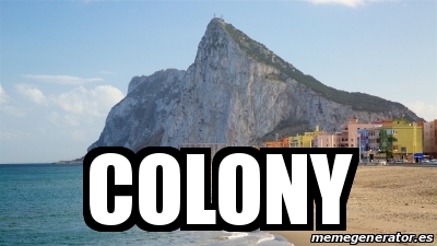 Meme Personalizado - colony - 30439706