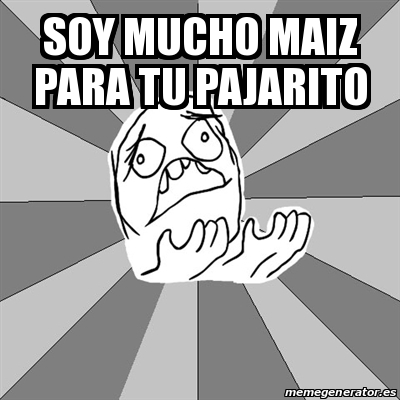 Meme Whyyy - SOY MUCHO MAIZ PARA TU PAJARITO - 30442079