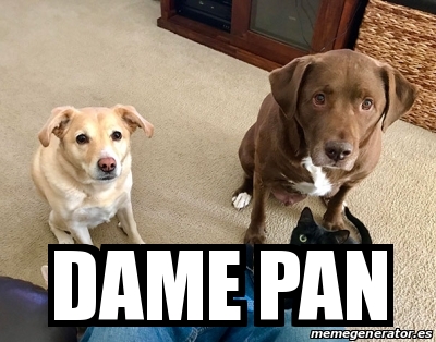 Meme Personalizado - dame pan - 30451615