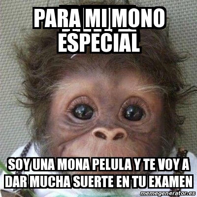 Meme Personalizado - Para mi mono especial - 30456398