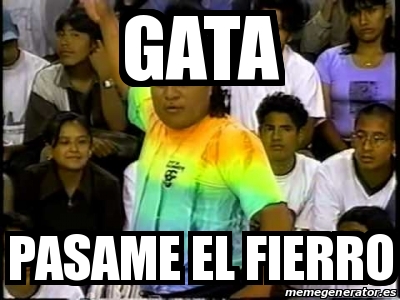 Meme Personalizado - gATA PASAME EL FIERRO - 30456631