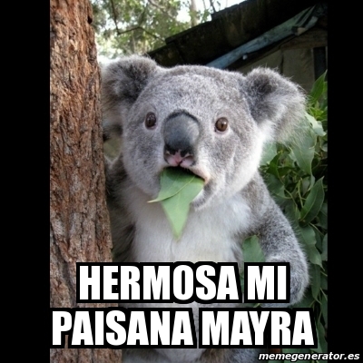 Meme Koala - Hermosa mi paisana mayra - 30457461