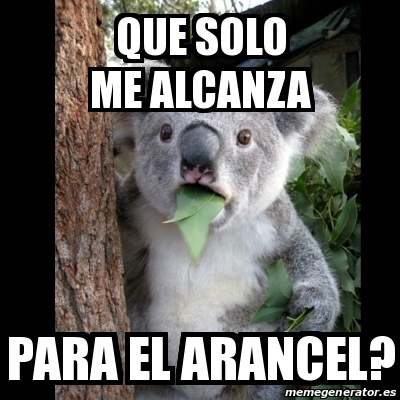 Meme Koala - Que solo me alcanza Para el arancel? - 30462183