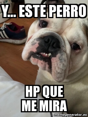 Meme Personalizado - y... este perro hp que me mira - 30463148