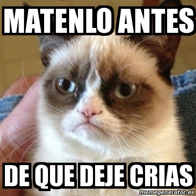 Meme Grumpy Cat - matenlo antes de que deje crias - 30484284