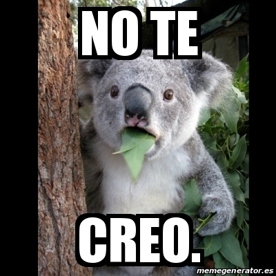 Meme Koala - No te Creo. - 30497889