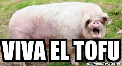 Meme Personalizado - VIVA EL TOFU - 30499732