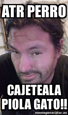 Meme Personalizado - ATR PERRO CAJETEALA PIOLA GATO!! - 30053334