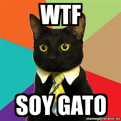 Meme Business Cat - WTF SOY GATO - 30055775