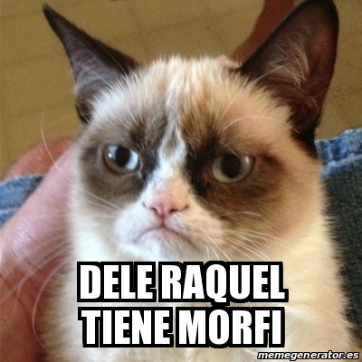 Meme Grumpy Cat - Dele Raquel tiene morfi - 30505488
