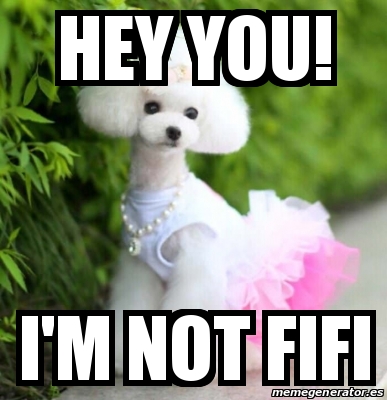 Meme Personalizado - Hey you! I'M NOT FIFI - 30510125