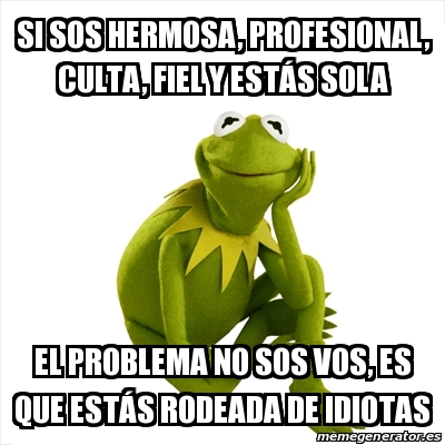 Meme Kermit the frog - Si sos hermosa, profesional, culta, fiel y estÃ ...