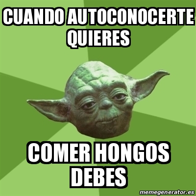Meme Yoda - Cuando autoconocerte quieres Comer hongos debes - 30518508