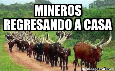 Meme Personalizado - MINEROS REGRESANDO A CASA - 30543294