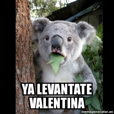 Meme Koala - Ya levantate valentina - 30544173