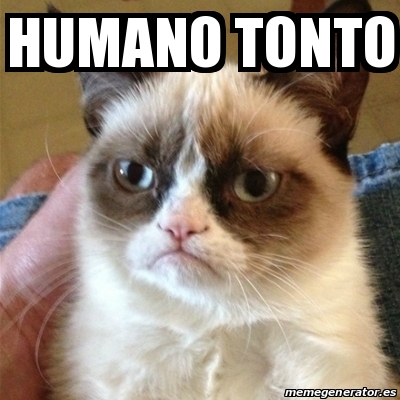 Meme Grumpy Cat - humano tonto - 30546085