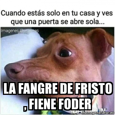 Meme Personalizado - La FANGRE de FRISTO , FIENE foder - 30562308