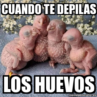 Meme Personalizado - Cuando te depilas Los huevos - 30576875