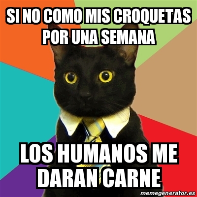 Meme Business Cat - Si no como mis croquetas por una semana Los humanos ...