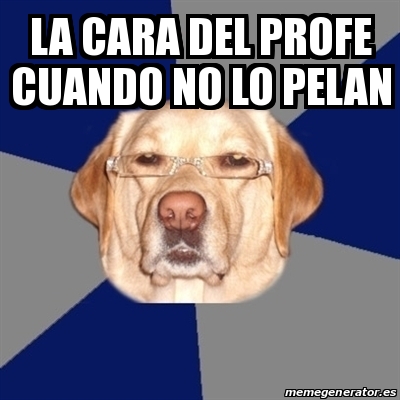 Meme Perro Racista - la cara del profe cuando no lo pelan - 30064464