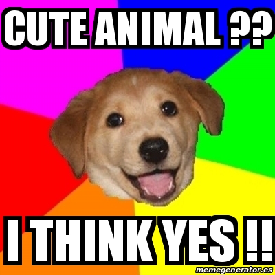 Meme Advice Dog - CUTE ANIMAL ?? i THINK YES !! - 30646408