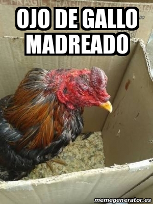 Meme Personalizado - Ojo de gallo madreado - 30669777