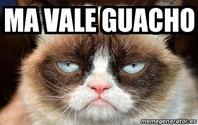 Meme Personalizado - Ma vale guacho - 30072756