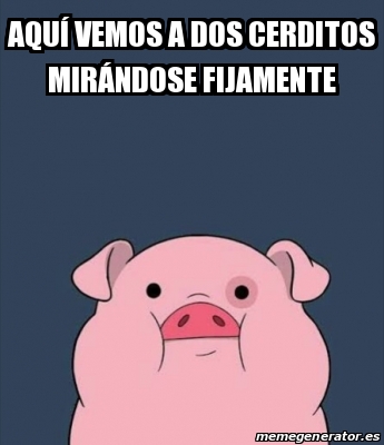 Memes Cerditos