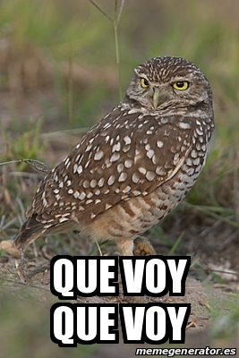 Meme Personalizado - Que voy Que voy - 30710031