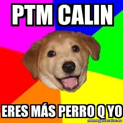 Meme Advice Dog - Ptm calin Eres mÃ¡s perro q yo - 30718666