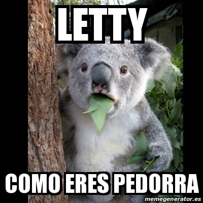 Meme Koala - Letty Como eres pedorra - 30750100